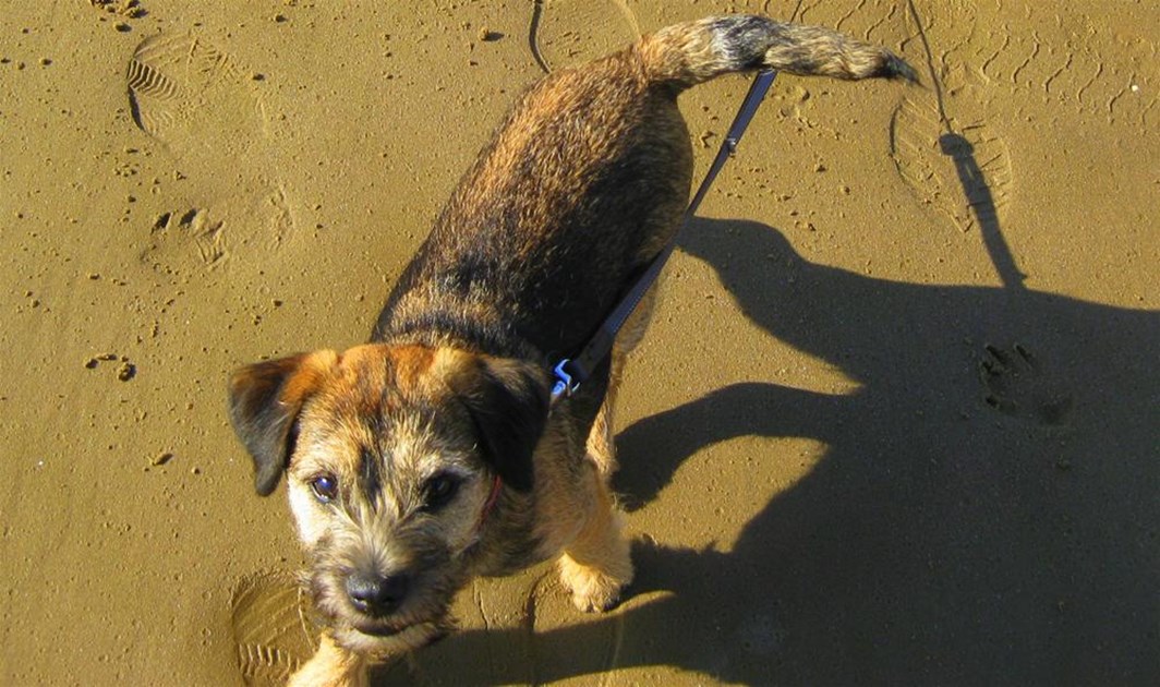 Amanda Aziz is fundraising for The Samaritans Of Weston-Super-Mare