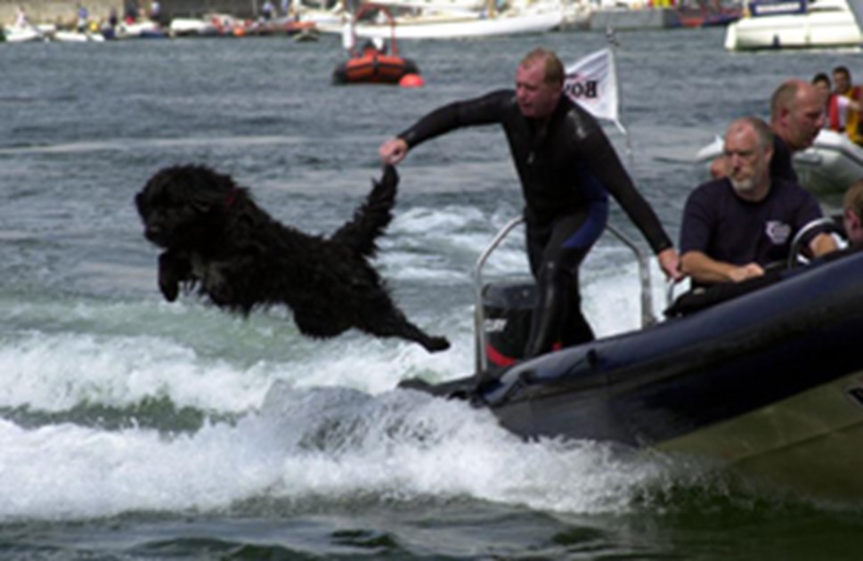 Helen Egner is fundraising for MS Therapy Centre at Bristol