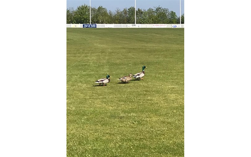 Brixworth Cricket Club is fundraising for Brixworth Cricket Club