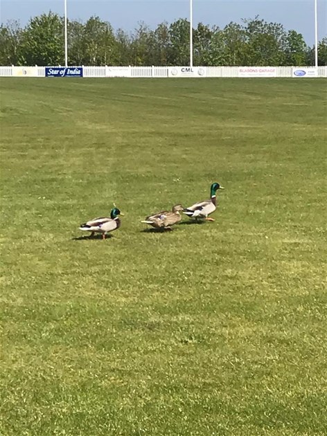 Brixworth Cricket Club is fundraising for Brixworth Cricket Club