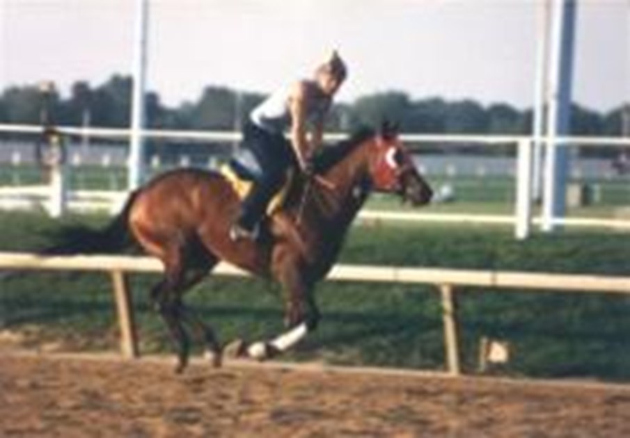 Mark Marsh is fundraising for St Catherine’s Hospice (Crawley)