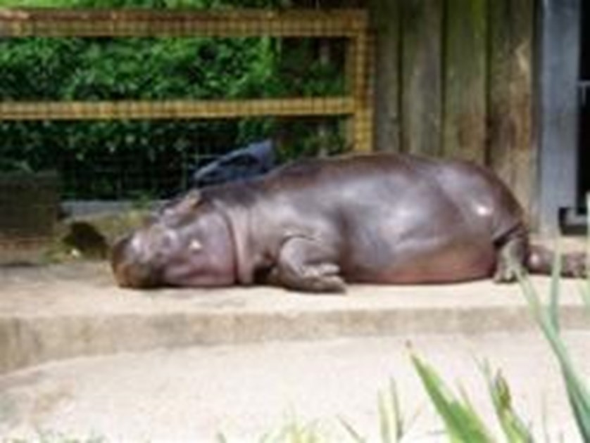 Jamie Drewett is fundraising for Zurich Community Trust (UK) Ltd