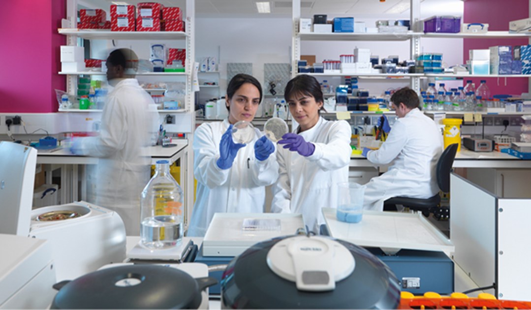 David Ransom is fundraising for Cancer Research UK