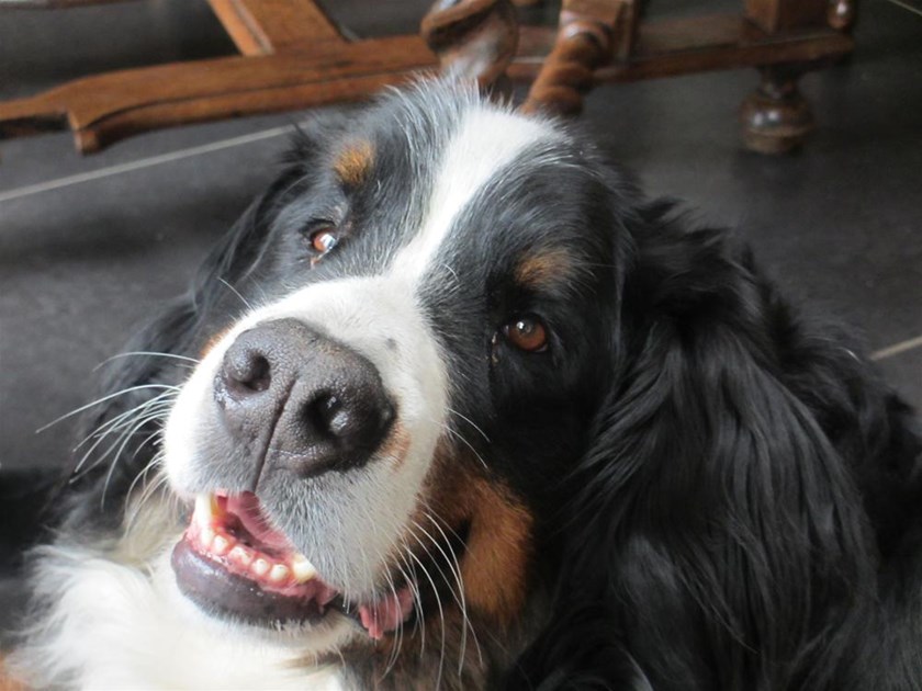 Sammy Mead is fundraising for Cancer Research UK