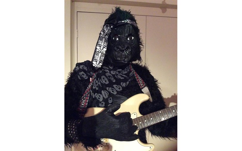The punk Gorillas! is fundraising for The Gorilla Organization