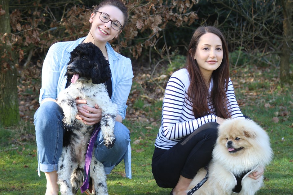 alice eagleton is fundraising for Battersea