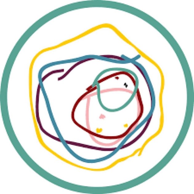 Terri Mc callan is fundraising for Air Ambulance Northern Ireland