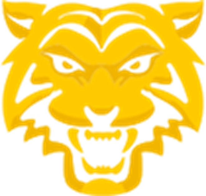 3 PWRR The Tigers is fundraising for PWRR BENEVOLENT FUND