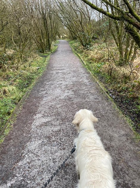 Tom Angus is fundraising for PROSTATE CANCER UK