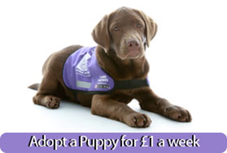 Sally Cartwright is fundraising for Canine Partners