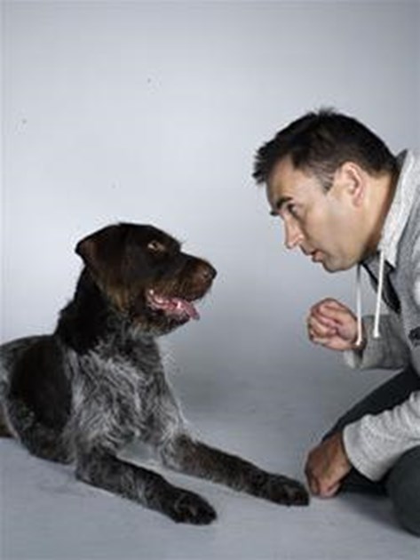 Graham Milligan is fundraising for The Royal Veterinary College Animal ...