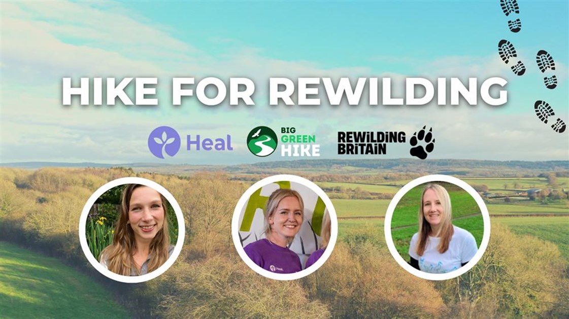 Hannah Needham is fundraising for Heal Rewilding