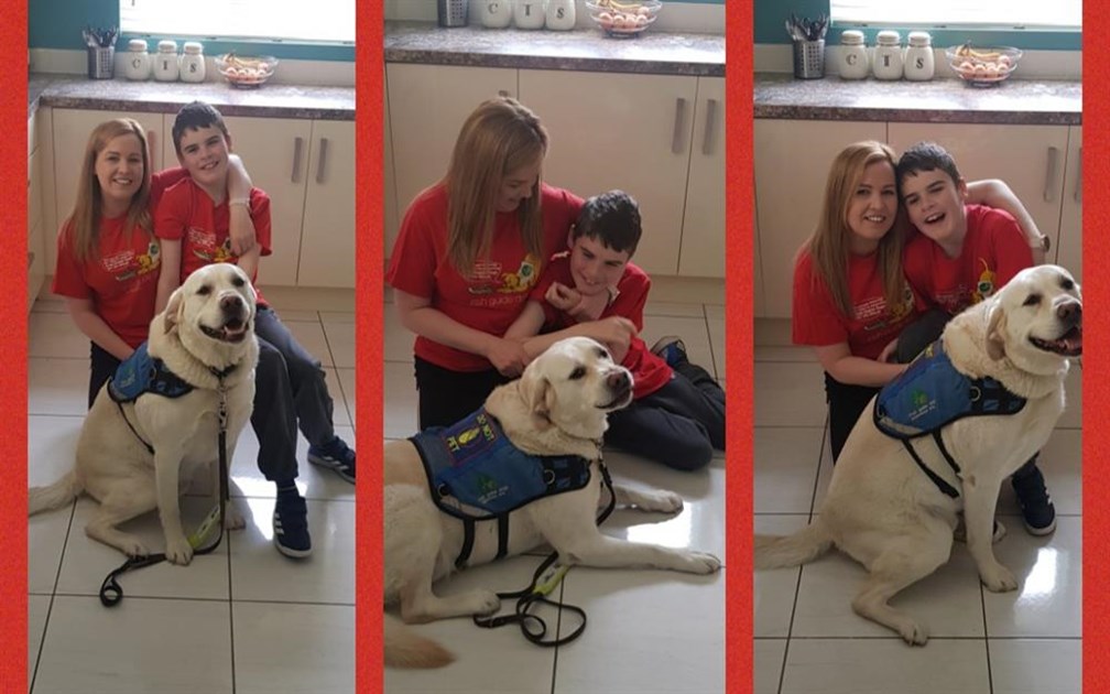 Gillian Lynch is fundraising for Irish Guide Dogs for the Blind