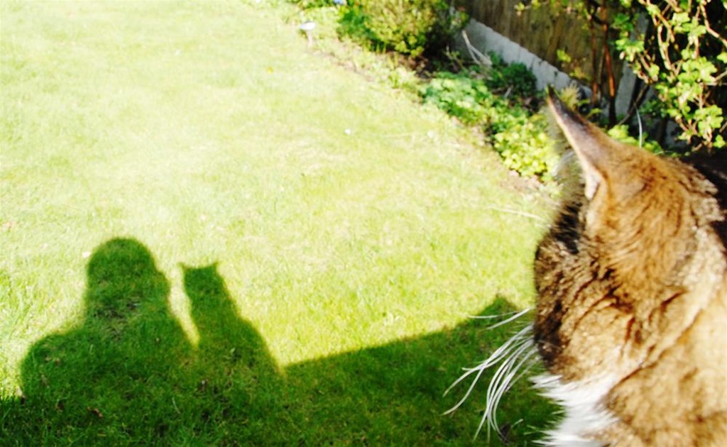 Bethany Emsley is fundraising for RSPCA Central London Branch