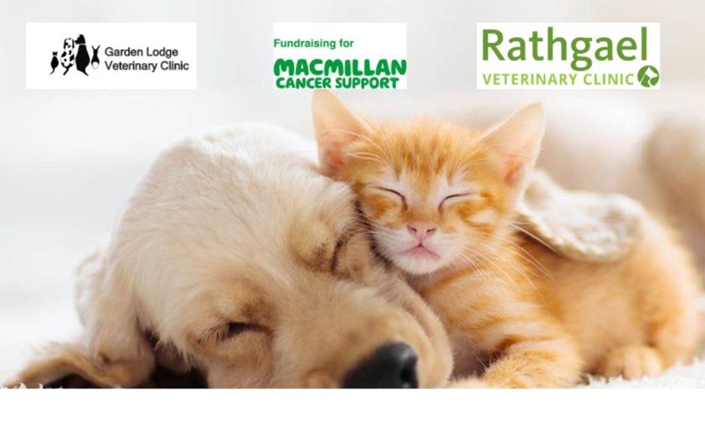 Rathgael and Garden Lodge Veterinary Clinics is fundraising for ...