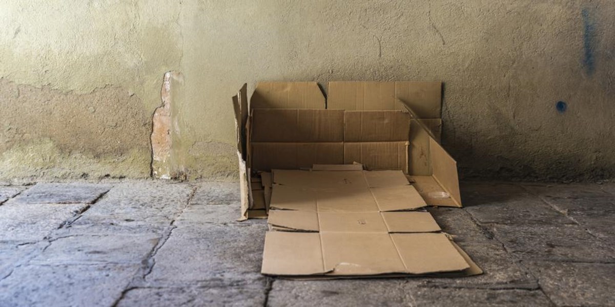 Anna McAdam is fundraising for Chester Aid to the Homeless (CATH)