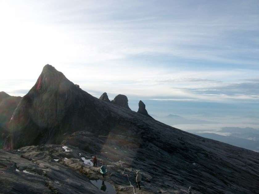 Mark Cobley is fundraising for Marie Curie