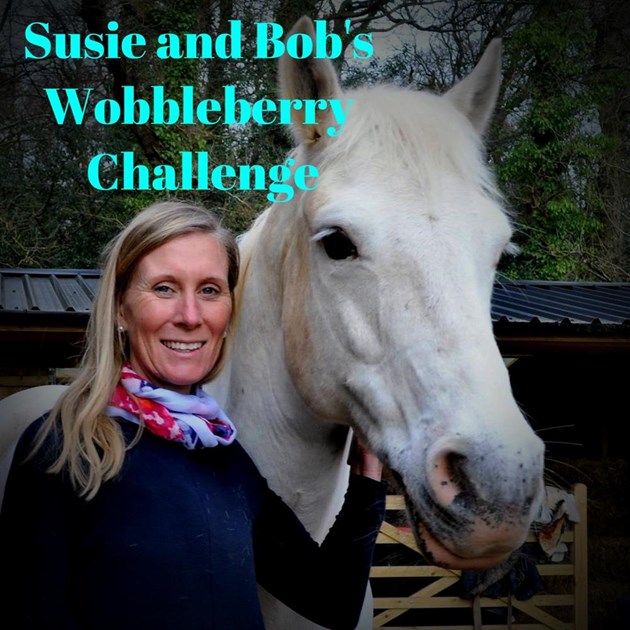 Susie Cauchois-Rice is fundraising for Hannah's Willberry Wonder Pony ...