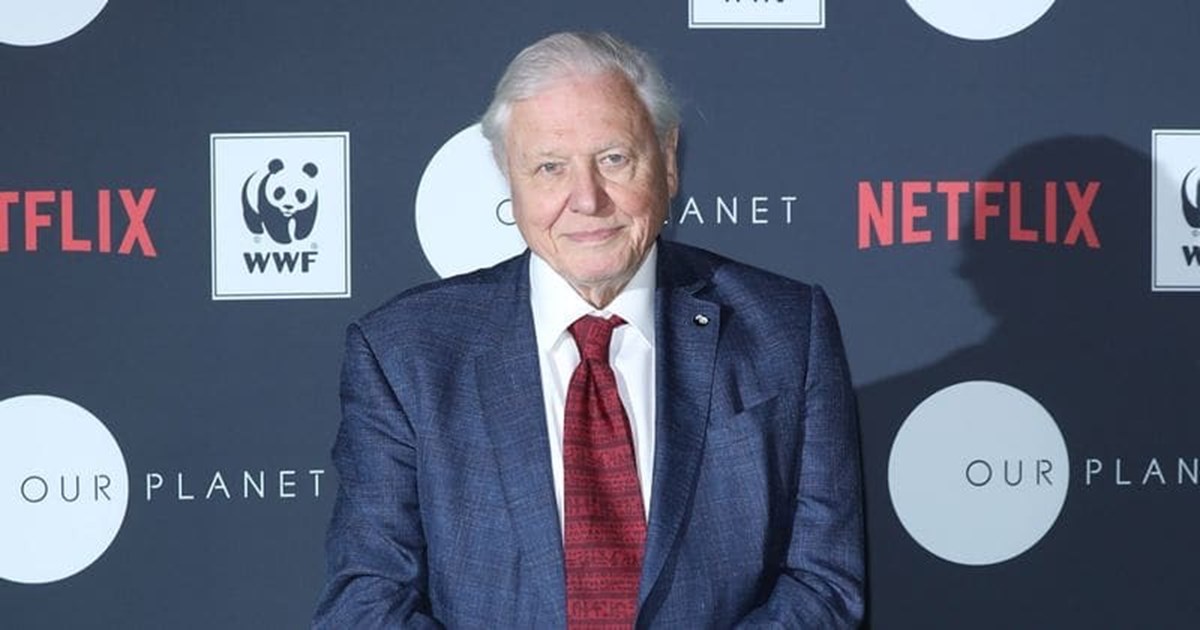 Ross Buckingham is fundraising for WWF-UK