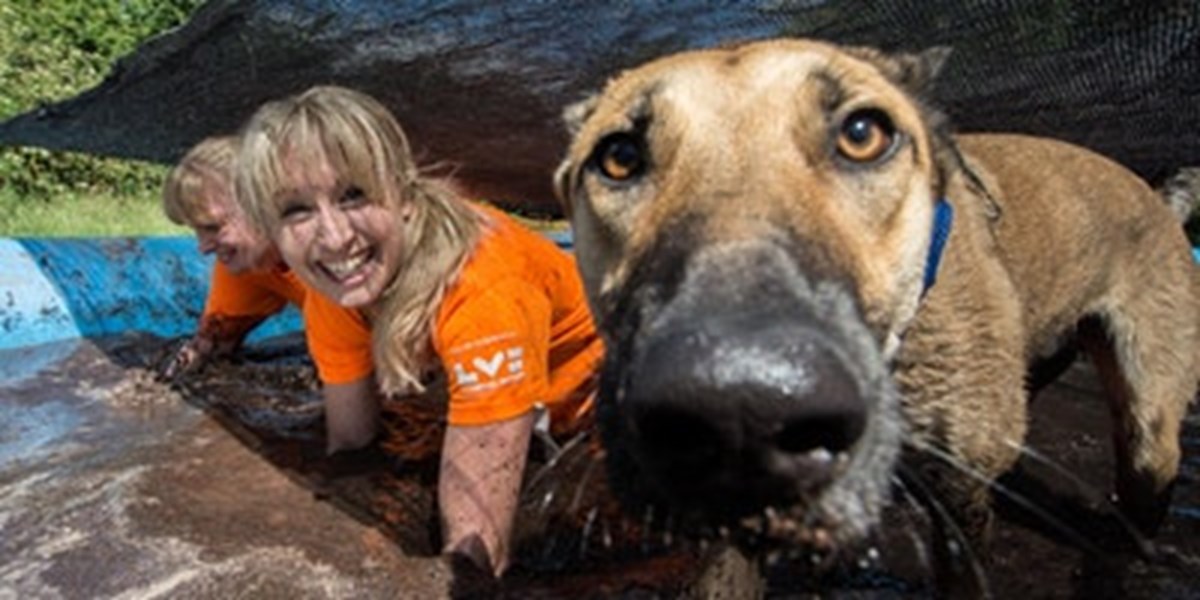 Richard Swoboda is fundraising for Battersea