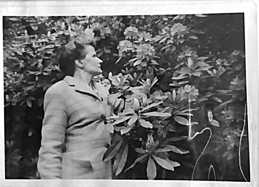 Fiona Boyd is fundraising for Alzheimer's Society