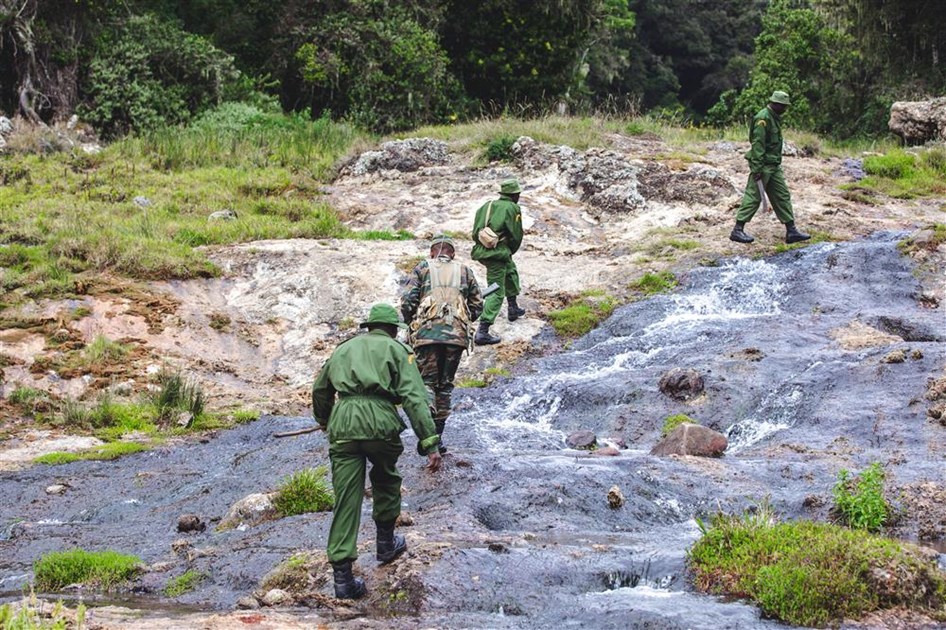 Imenti Forest Reserve - Mount Kenya Trust is fundraising for Tusk Trust