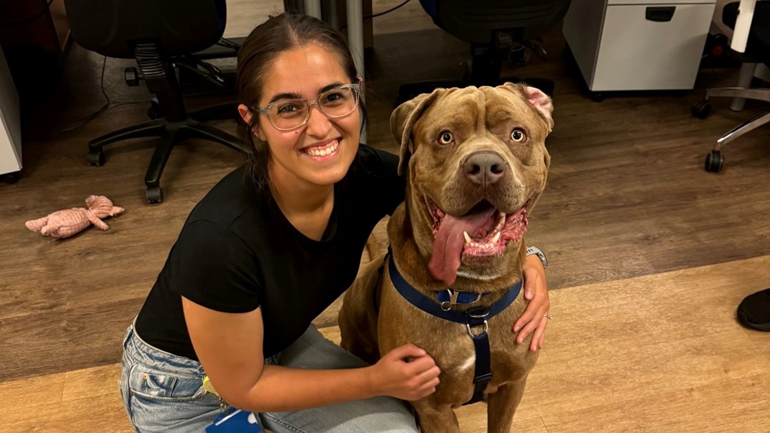 Anna Jenkins is fundraising for Battersea