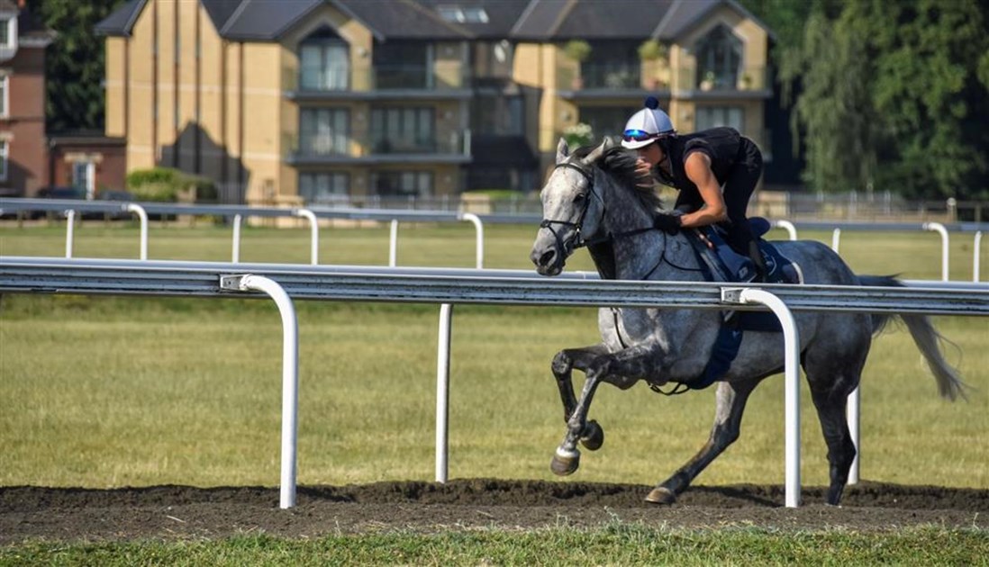 Annabelle Hadden-Wight is fundraising for Educate A Child - International