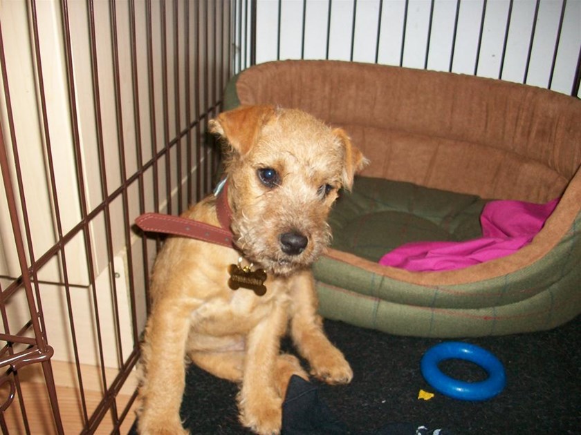 Rachel Whyte is fundraising for Headway Essex