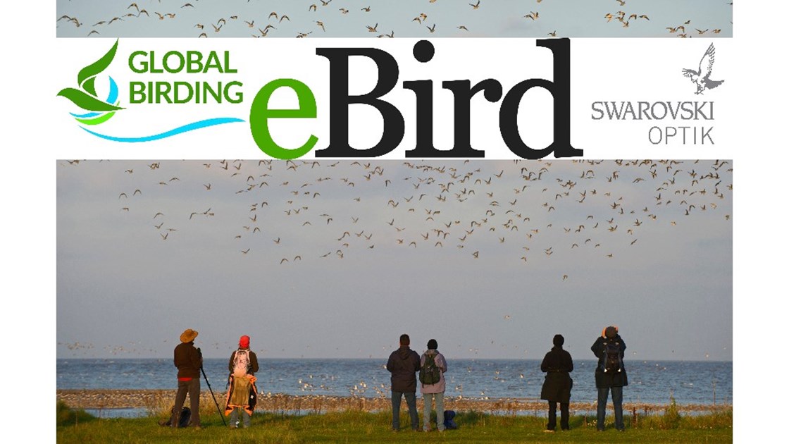 BirdLife International Team is fundraising for BirdLife International