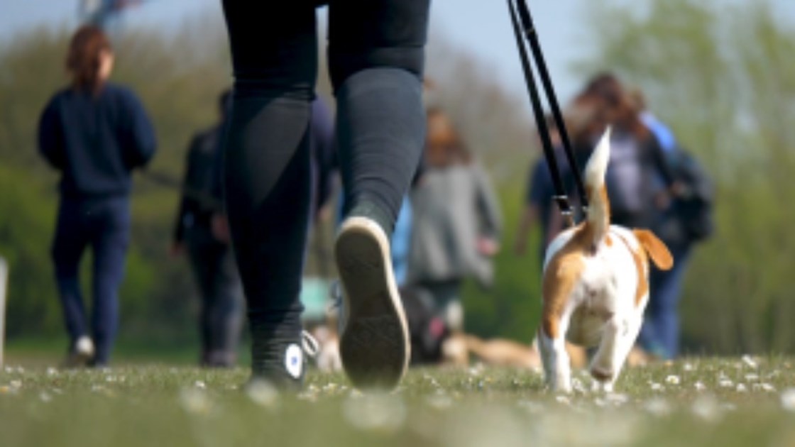 Joanne Henstock is fundraising for RSPCA Radcliffe Animal Centre