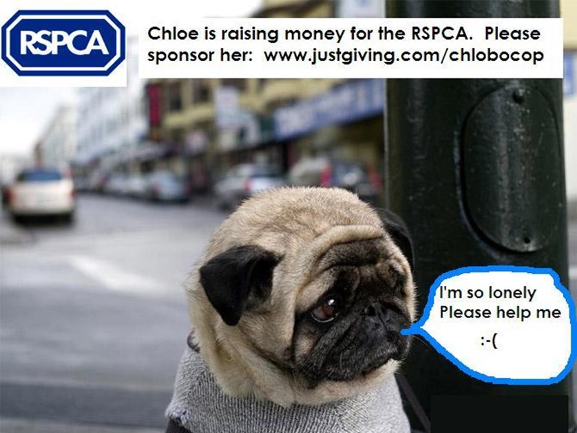 Chloe Haynes is fundraising for RSPCA