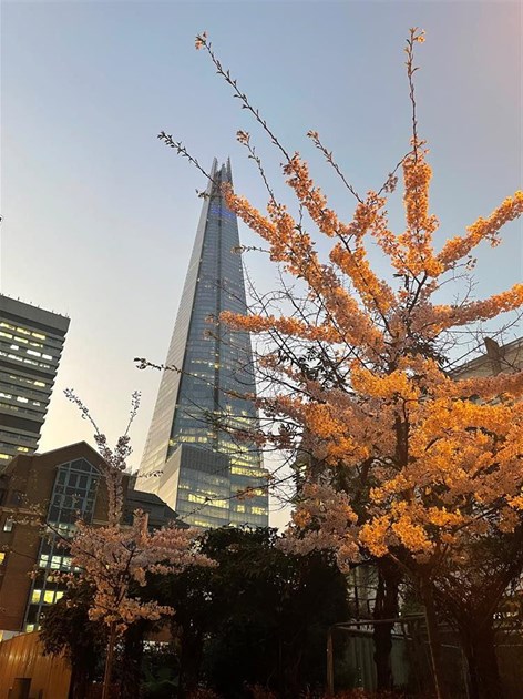 Bethany Corder is fundraising for Teenage Cancer Trust