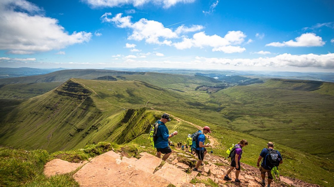 Valerie and Ian Horobin is fundraising for Action Medical Research