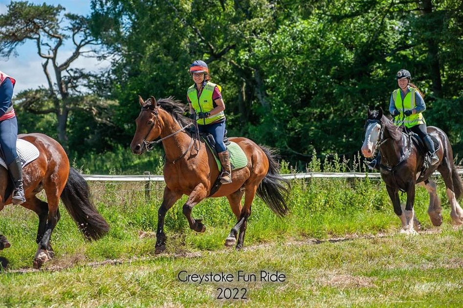 Julie Connell is fundraising for HorseWorld