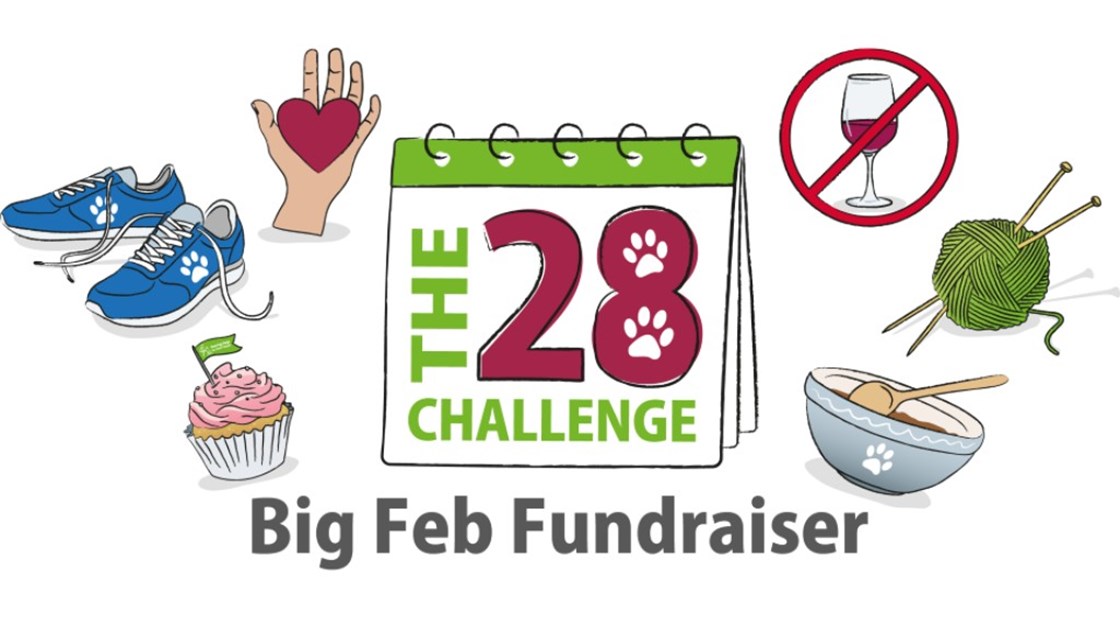 Hazel Picken is fundraising for Hearing Dogs For Deaf People