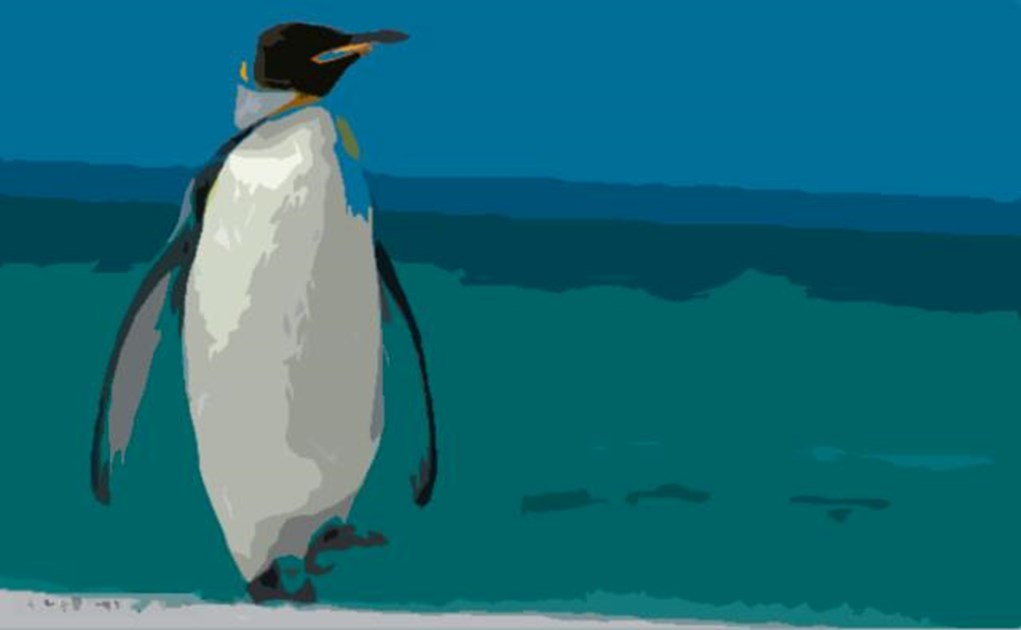 Daniel Mortell is fundraising for Peoples Trust For Endangered Species