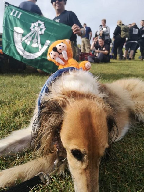 Deborah Steele is fundraising for The Rifles Regimental Trust