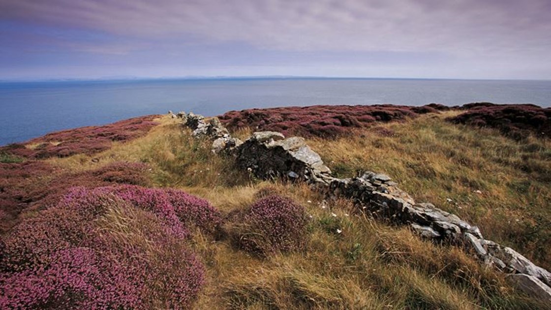 RSPB Scotland is fundraising for RSPB