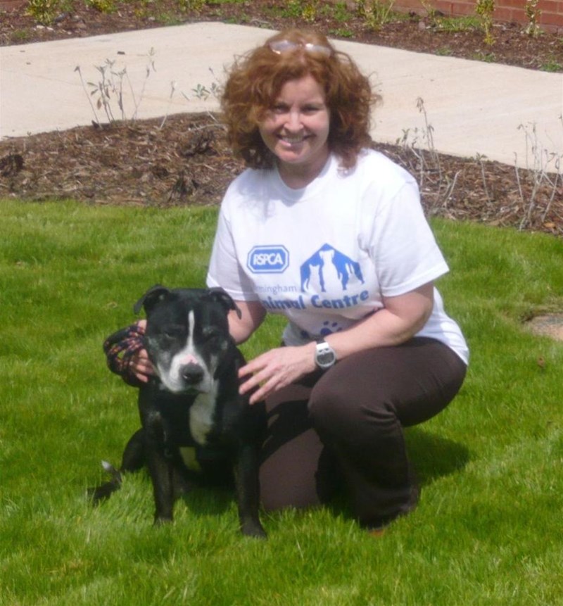 Helen Tuite is fundraising for RSPCA