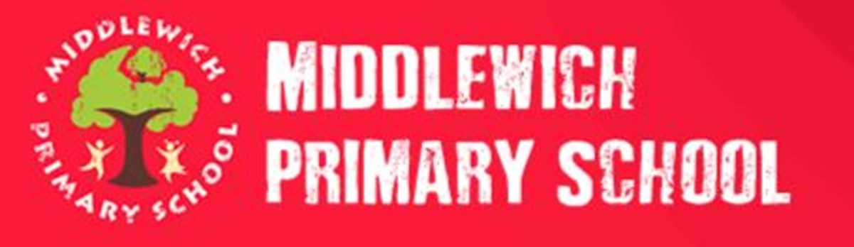 Middlewich Primary School is fundraising for UNIQUE (Rare Chromosome ...