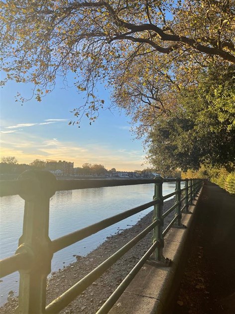 Cecily Ward is fundraising for Cancer Research UK