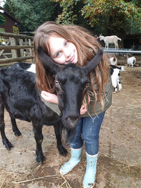 Sarah Crust is fundraising for Buttercups Sanctuary For Goats