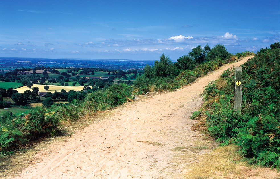 Clare Stern is fundraising for Solving Kids’ Cancer UK