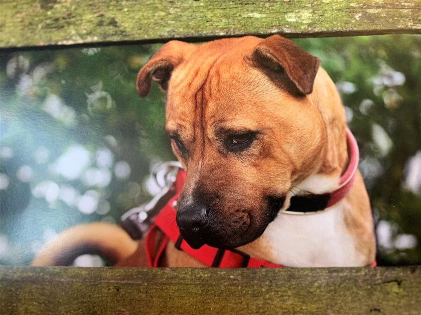 Gemma Poole is fundraising for Pebbles Legacy