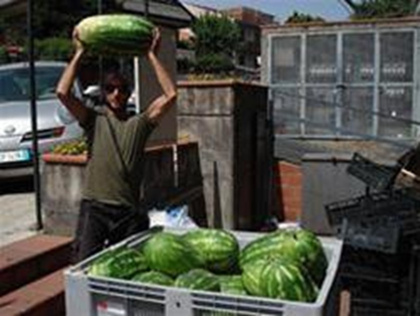 Vincent BONO is fundraising for The Outward Bound Trust