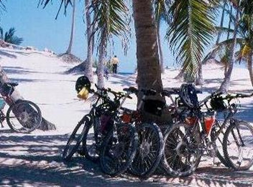 Sharon Axcell is fundraising for Anthony Nolan