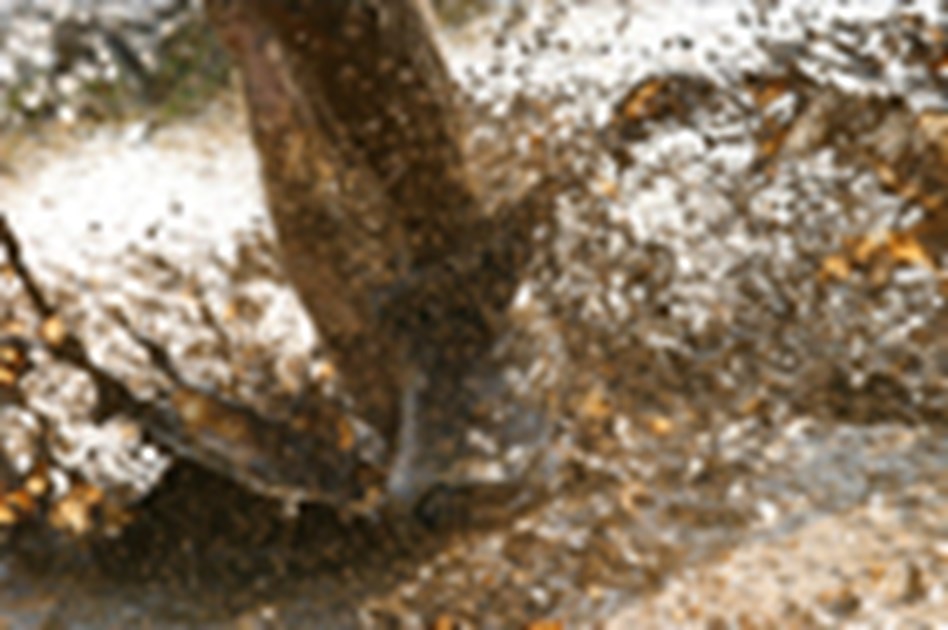 Jane Toll is fundraising for Macmillan Cancer Support