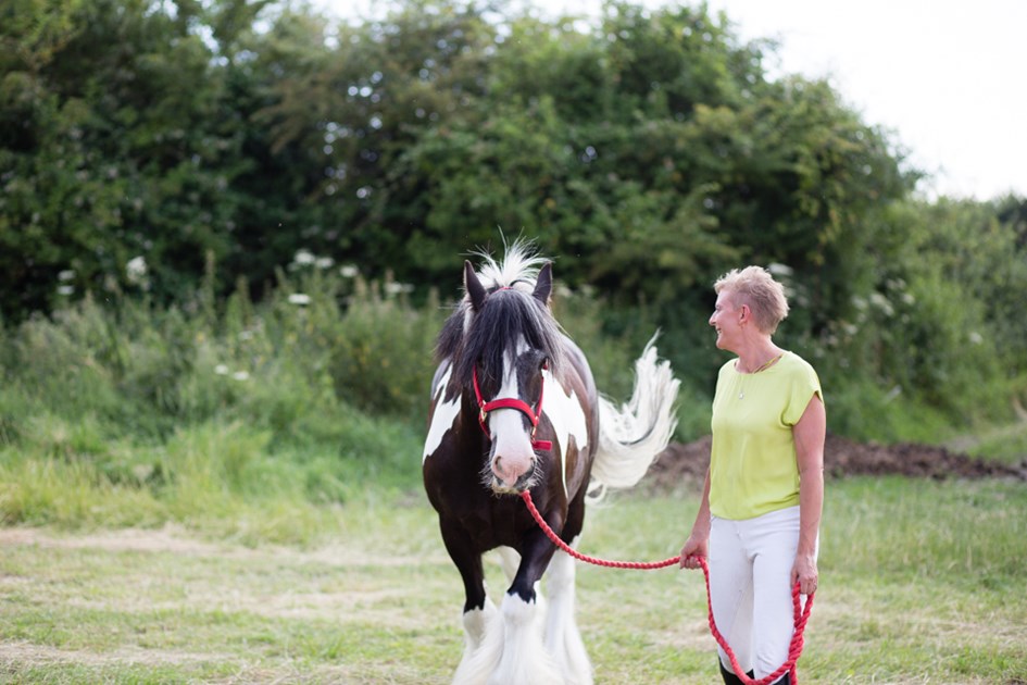 Wendy Newman is fundraising for Hannah's Willberry Wonder Pony Charity