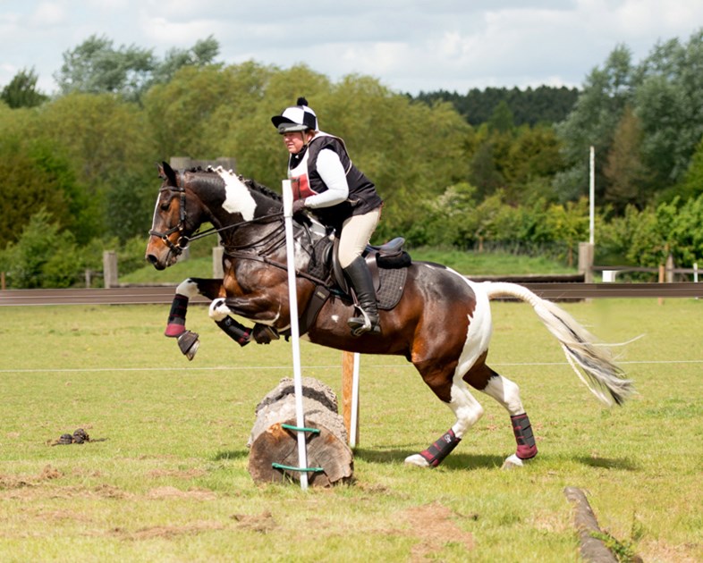 Angela Duff is fundraising for Hannah's Willberry Wonder Pony Charity